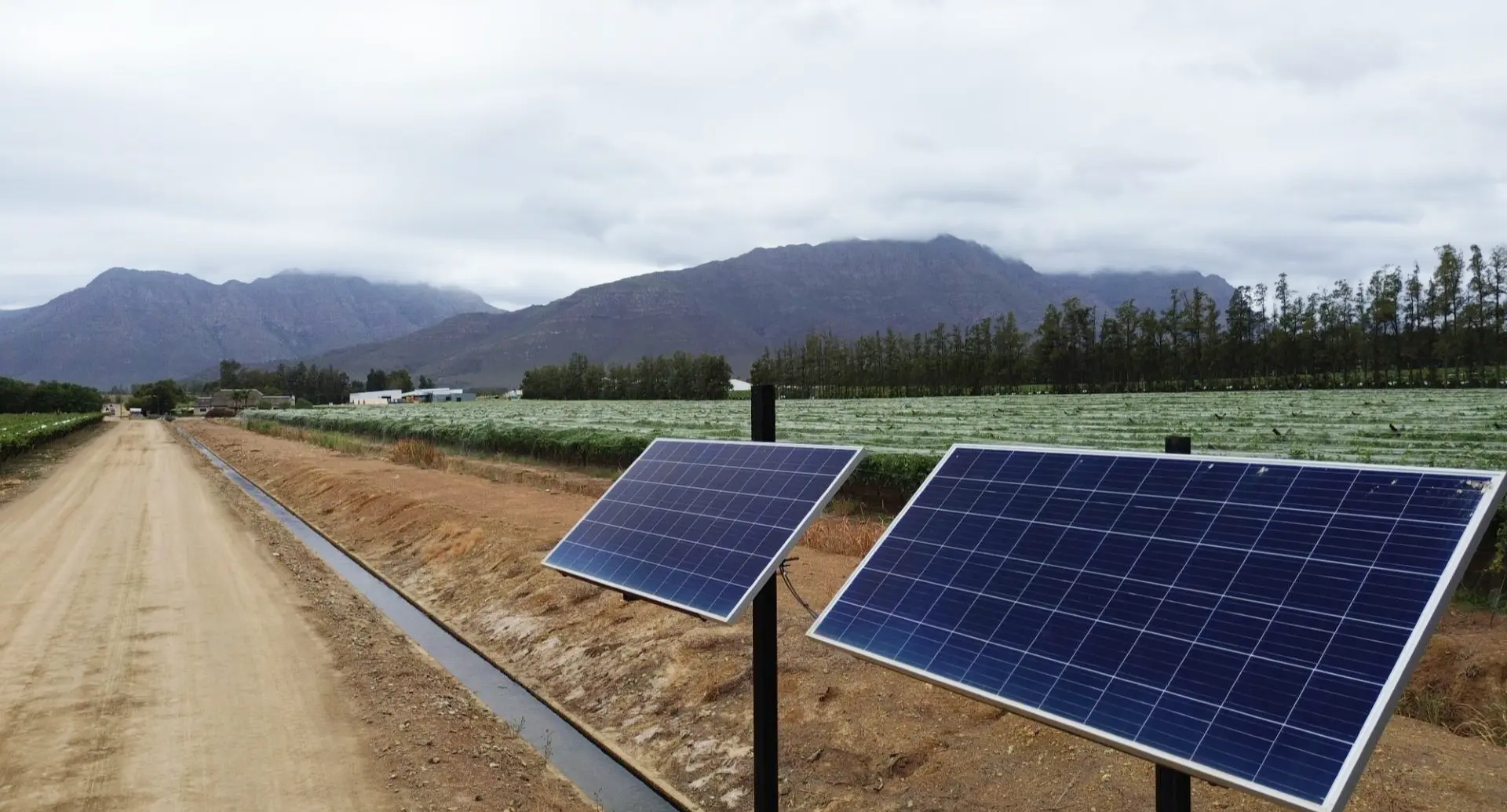 How Renewable Energy is Revolutionizing Farming - Electro Africa | PV ...